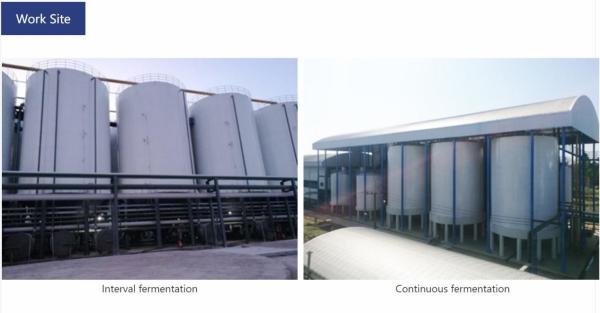 Quality State-of-the-Art Vibration Plate Tower Type Extraction Tower for Alcohol for sale