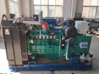 Quality Gas Turbine Bio Gas Generator, Free Energy Power Biogas Generator, Power Plant for sale