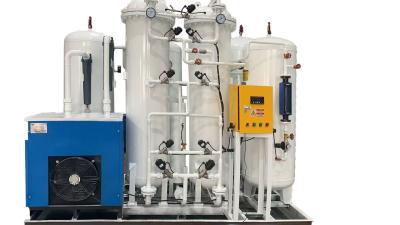 China Skid-Mounted N2 Gas Generator WGNG-01 for Easy Installation and in Industrial Settings for sale