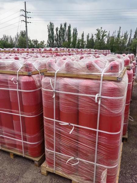 Quality Moncombustible/Nontoxic Gas Steel Cylinders WESG10 4 Sizes for Multiple for sale