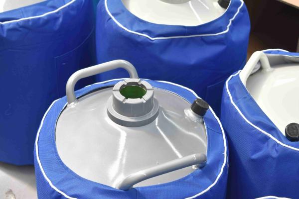 Quality Liquid Nitrogen Tanks Safety (YDS TYPE) Cryogenic Storage Container Stainless for sale