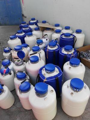 Quality Liquid Nitrogen Tanks Safety (YDS TYPE) Cryogenic Storage Container Stainless for sale
