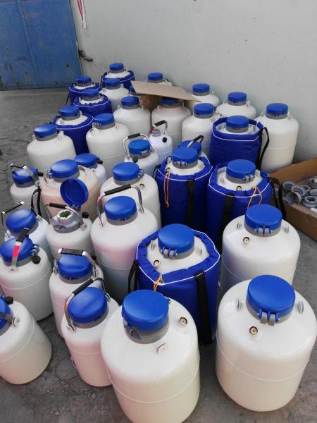 Quality Liquid Nitrogen Tanks Safety (YDS TYPE) Cryogenic Storage Container Stainless for sale