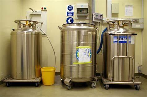 Quality Liquid Nitrogen Tanks Safety (YDS TYPE) Cryogenic Storage Container Stainless for sale