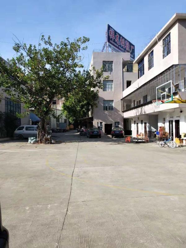 Fornitore cinese verificato - Xianglong Shoes Limited