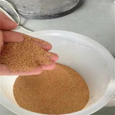 China Polished walnut shell filter material for wastewater treatment walnut shell for sale