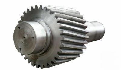 China Flexible Structural Roller Shaft Gear for Low Speed and High Torque Transmission for sale