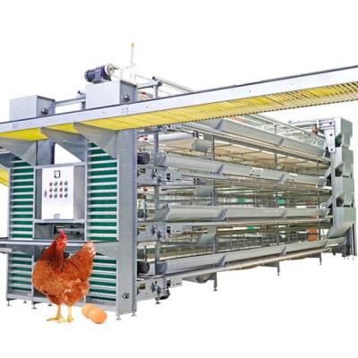 China Automatic Poultry Equipment with Hot-dip Galvanized Steel for 50-Year Service Life and Customized Dimensions for sale