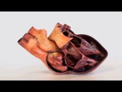 online 3d printing  prototype service for custom parts  and custom character