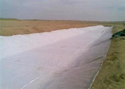 Cina Prodotto non intessuto bianco del geotessuto in vendita
