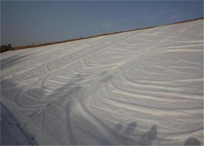 中国 高力道によって補強されるポリエステル針パンチGeotextile 販売のため