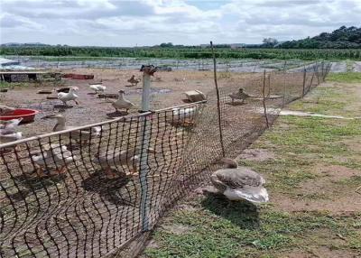China Länge Basalt-Mesh Fiberglass Geogrids 8m Breiten-100m zu verkaufen