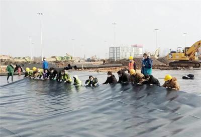 China Estabilización perforada texturizada de la cuesta de Geocell para la construcción de carreteras en venta