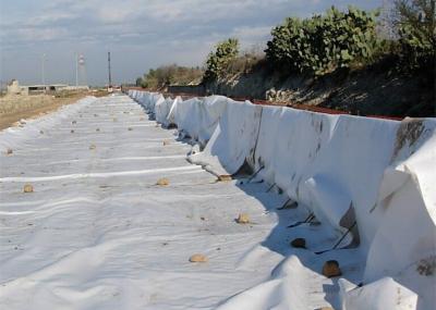 China 20gsm niet-geweven Geotextile Stoffen Burgerlijke Milieu voor Grondstabilisatie Te koop