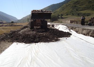 Cina Stabilizzazione non tessuta della fibra del geotessuto 100g-800g/M2 dell'animale domestico dei pp breve in vendita