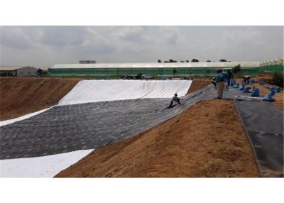 China 0.2mm Polyethylene Geomembrane Shrimp Pond Liner Anti Seepage Pe Tarpaulin for sale