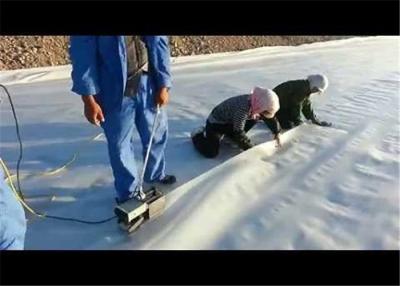 China 0.2mm Polyethylene Geomembrane Shrimp Pond Liner Anti Seepage Pe Tarpaulin for sale