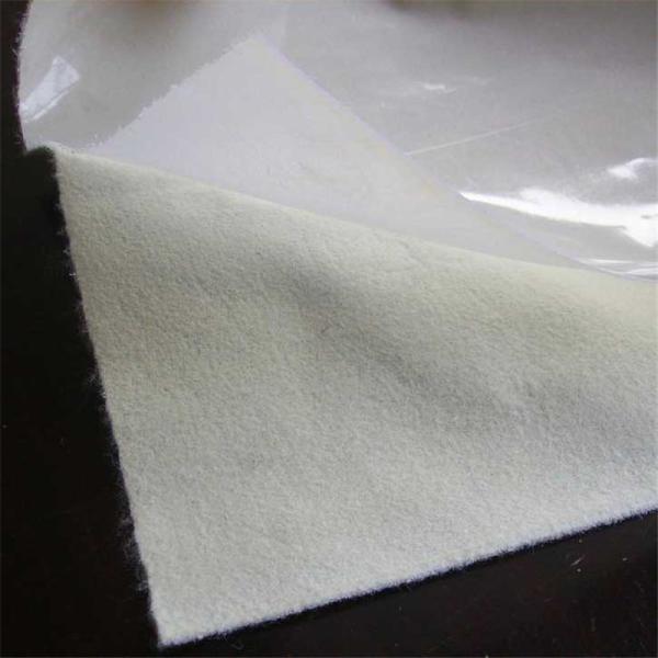 Quality One Cloth One Membrane Compound Geomembrane For Anti Seepage And Reinforcement for sale