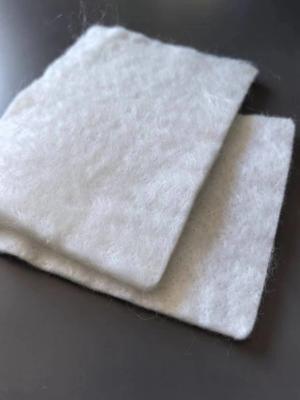 China PET-Based Long Fiber Geotextile with 1m~6m Width and 50m~100m Length for High-Strength Applications for sale