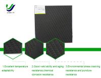 Quality HDPE Column Point Rough Surface Geomembrane Corrosion And Seepage Resistant for sale