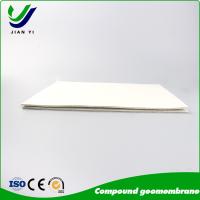 Quality Composite Impermeable Geomembrane 0.2~3mm For Reinforcement for sale