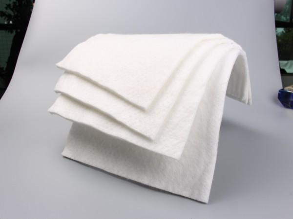 Quality Long Fiber Geotextile The Ultimate Solution for Water Conservancy Projects for sale