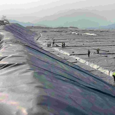 China Environment Project HDPE Smooth Geomembrane Resistant to Acid and Alkali 700% Elongation At Break 0.3mm 3.0mm Thickness for sale