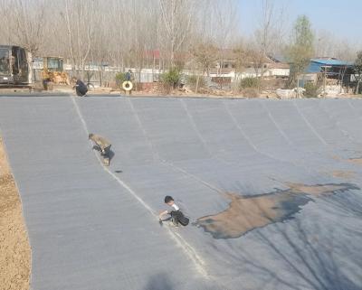 China Durable & Weather-Resistant Cement Blanket with High Compressive Strength (≥30MPa) and Freeze-Thaw Resistance for sale