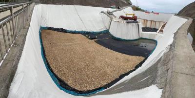 Cina Economia Geotessili in fibre lunghe non tessute per discariche di rifiuti industriali in vendita