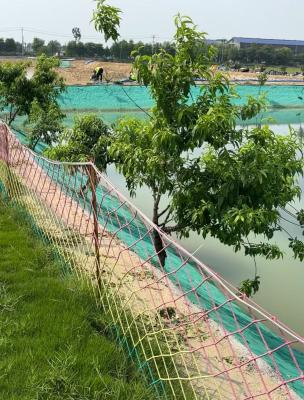 Cina Protezione ecologica delle scarpate, protezione delle scarpate per acquacoltura, sostituto del cemento tradizionale, telo cementizio marca Jianyi in vendita
