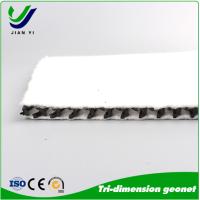 China 3D Composite Drainage Net 6mm Thick 200kN/m² Tensile Strength for Rapid Water Removal for sale
