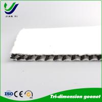 China 3D Composite Drainage Net HDPE Geosynthetic Drainage Material 2500 m²/day Permeability for sale