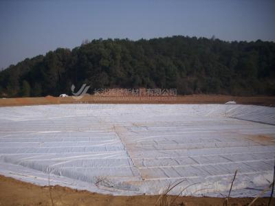 Cina Geotessile a fibra corta: la soluzione ingegneristica versatile ed economica in vendita