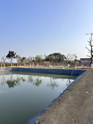 China Anti-corrosion and Anti-aging Cement Blanket with 4m Width for Harsh Environment Construction for sale