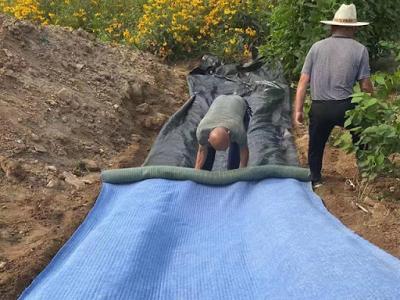 China Rapid Hardening Flexible Cement Blanket with 4m Width for Durable Concrete Protection for sale