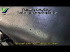 Surface roughened geomembrane