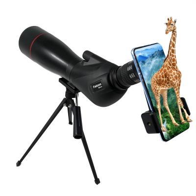 China 20-60x80 Birding Spotting Scope With 45 Degree Angled Eyepiece for sale