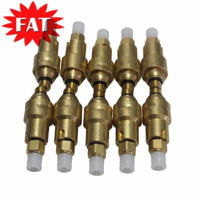 Cina Montaggio stabilito dell'ottone del connettore della valvola di mandata di 10 di Audi A8 Quattro D3 4E della parte anteriore dell'aria molle di sospensione & del tubo flessibile della linea aerea in vendita