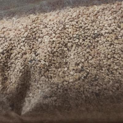 China Kosmetische Qualität Juglans Regia Walnussmuschel Pulver Mehrzweckreinigungsmittel zu verkaufen