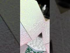 Color Shifting Colorful Hammer Texture Powder Coating Paint for Metal Surface