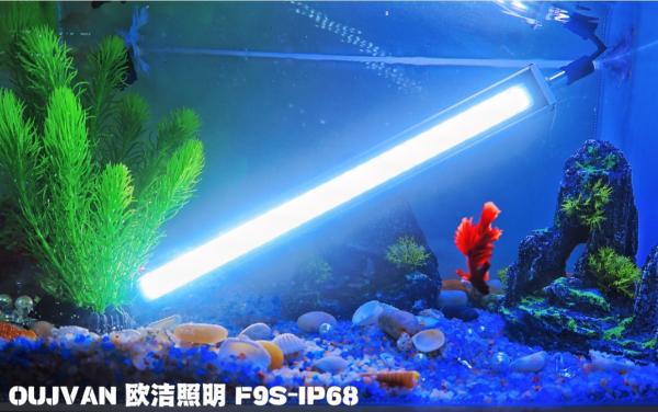 Quality LED Machine Work Light High Intensity LED Work Light Designed to Improve for sale