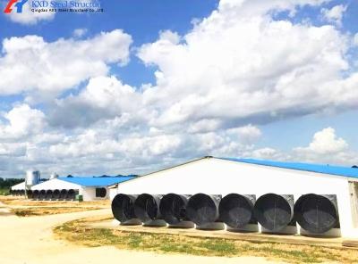 China Modern Poultry Farm Chicken Farm Steel Structure Building Light Steel Structure Poultry House for sale