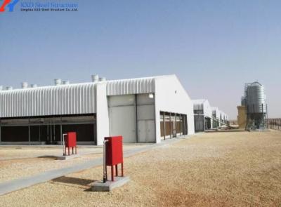 China KXD Prefab Steel Frame Metal Building Q345 Q235 Steel Poultry Shed for sale