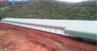 China Custom Prefab Layer Chicken House Structures , Automatic Layer Poultry Farm Structure for sale