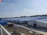 China Steel Structure Poultry House with Cage Feeding System for Layers & Broilers for sale