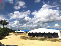 China Steel Structure Poultry House with Cage Feeding System for Layers & Broilers for sale
