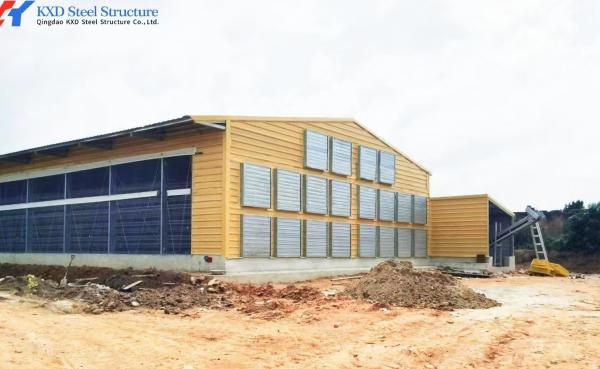 Quality A Type H Type Battery Cage Automatic Feeding System For Broiler Poultry Farming for sale