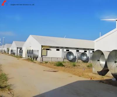 China Steel Structure Poultry House with Cage Feeding System for Layers & Broilers for sale