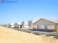 China Steel Structure Poultry House with Cage Feeding System for Layers & Broilers for sale