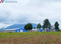 China Steel Structure Poultry Shed for Broilers and Layers for sale